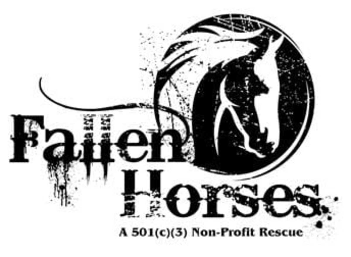 Fallen Horses Rescue Falls On Hard Times - Paulick Report | Latest news ...
