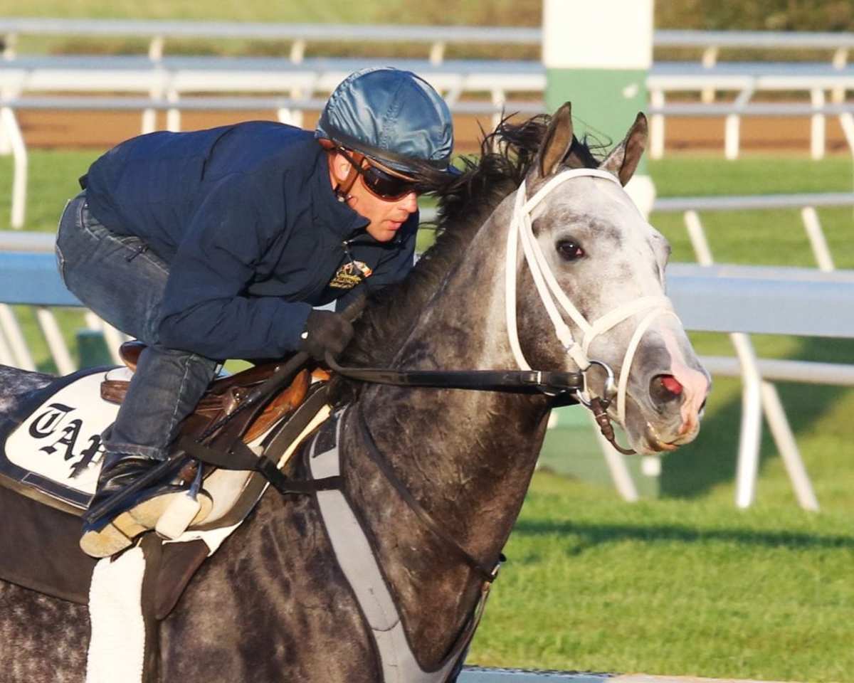 'Precocious' Half-Brother To Liam's Map Debuts Thursday - Paulick ...