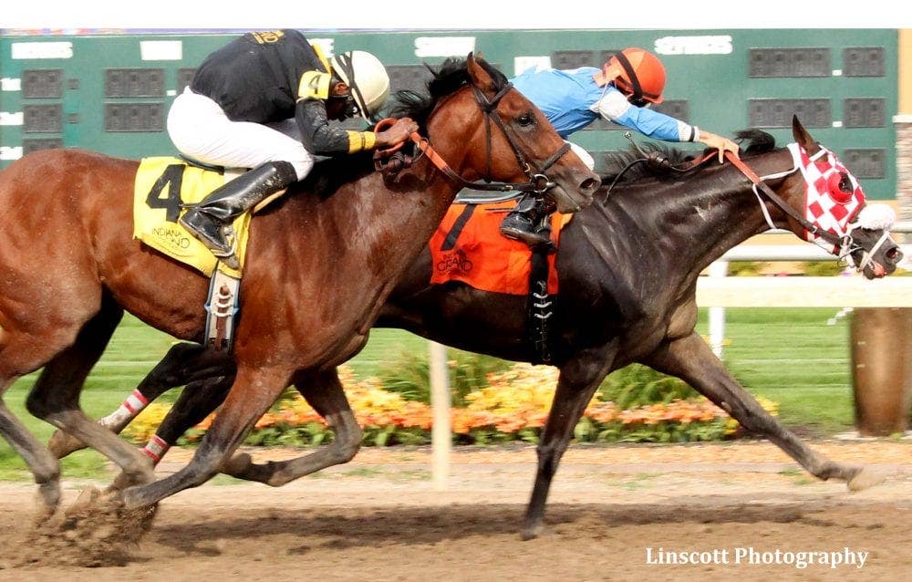 Indiana Grand Reports Record Handle On Saturday's Oaks-Derby Card ...