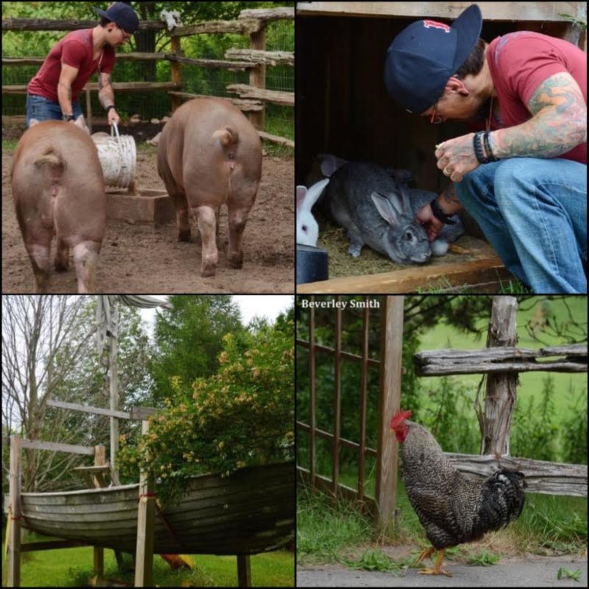 Breeders' Cup Presents Connections: Justin Stein's Most Unusual Life ...