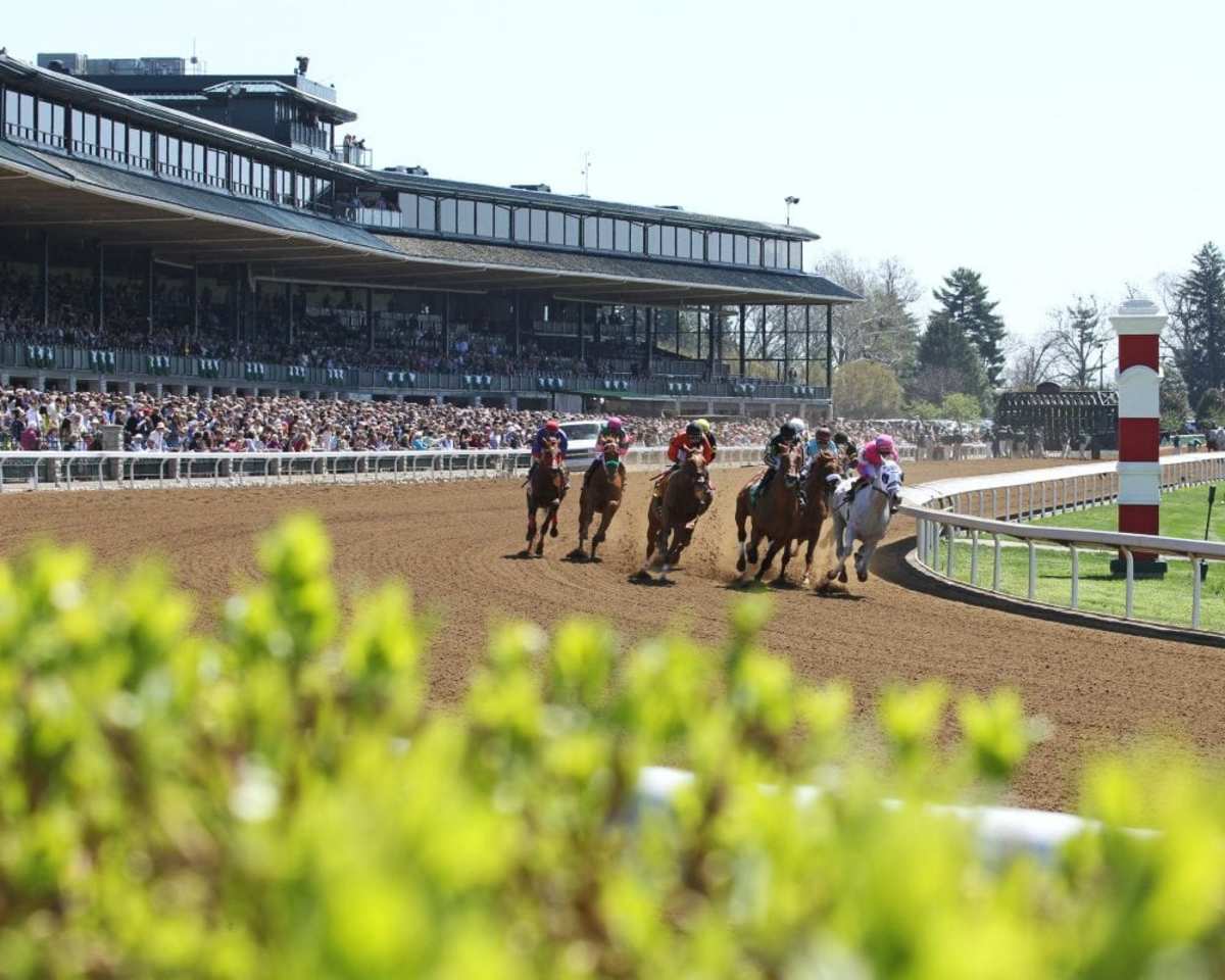 NYRA's Final Cross Country Pick 5 Of 2019 Includes Two Races From ...