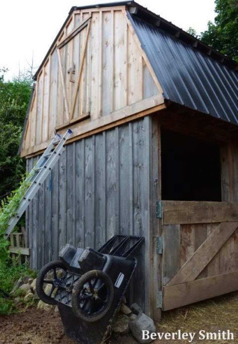 Breeders' Cup Presents Connections: Justin Stein's Most Unusual Life ...