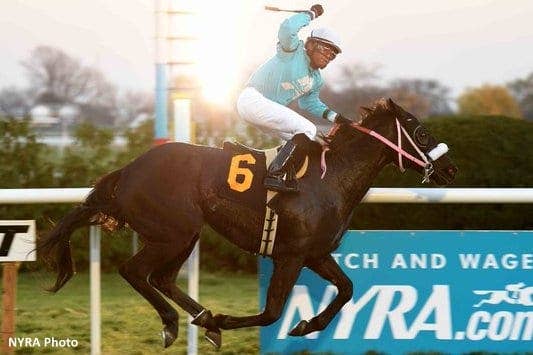 Jockey Winston Kay Breaks Maiden At Aqueduct - Paulick Report | Latest ...