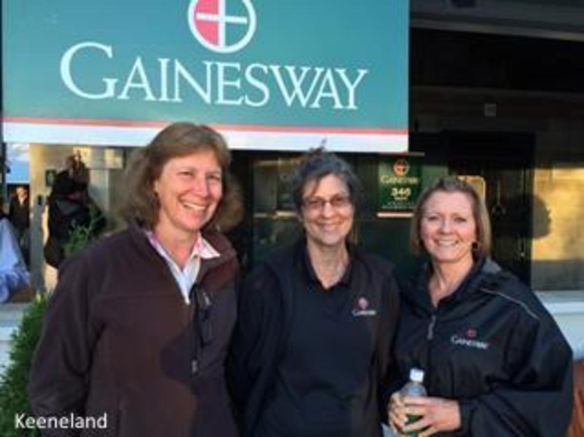 In Two Decades, Gainesway Worker Has Seen It All At The Sales - Paulick ...