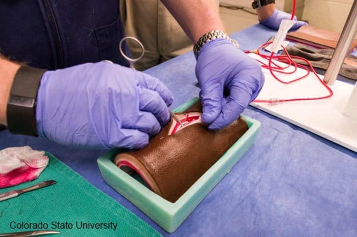 Equine Surgeons Invent Artificial Skin To Help Vet Students Learn ...