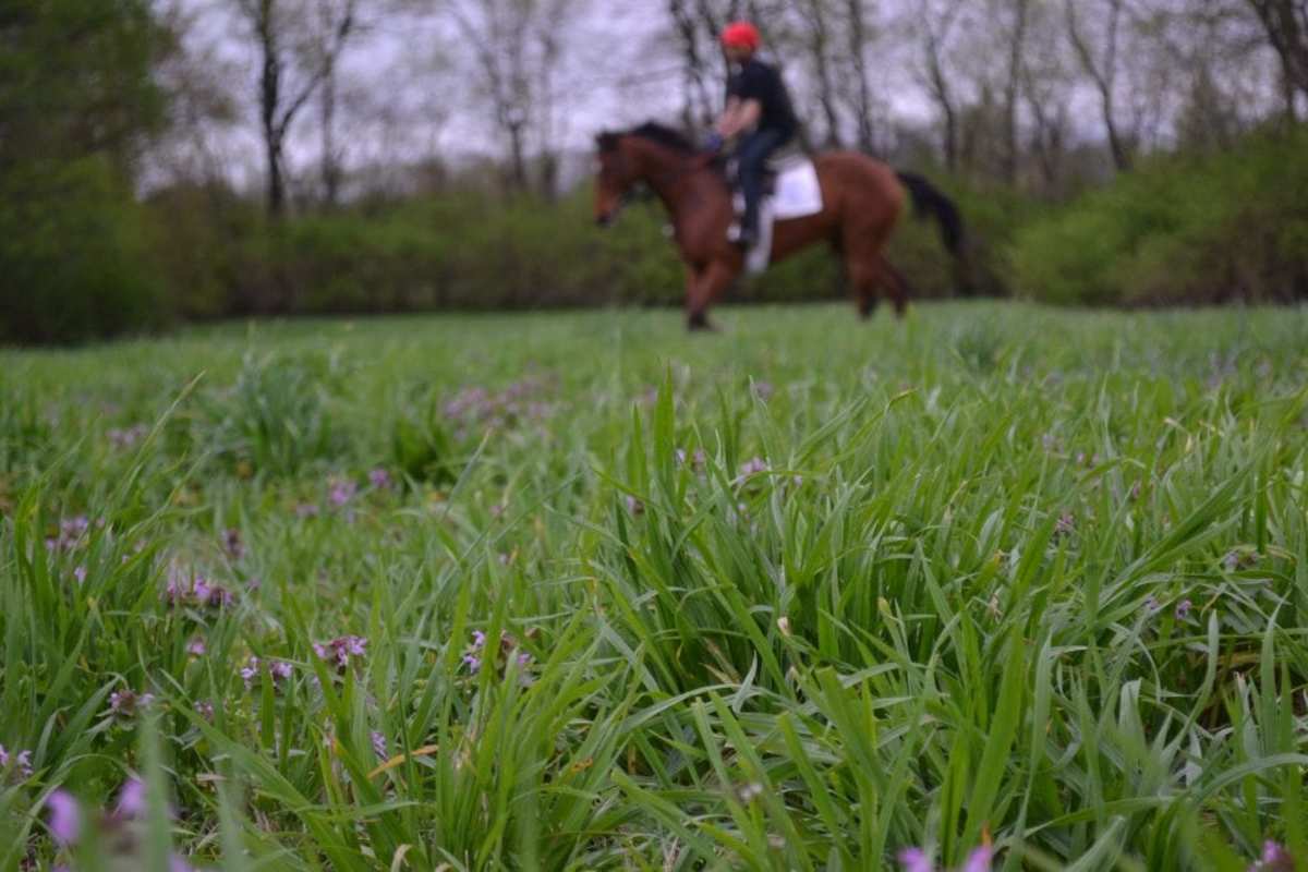 Inside The North American Racing Academy: Conquering The Butterflies ...