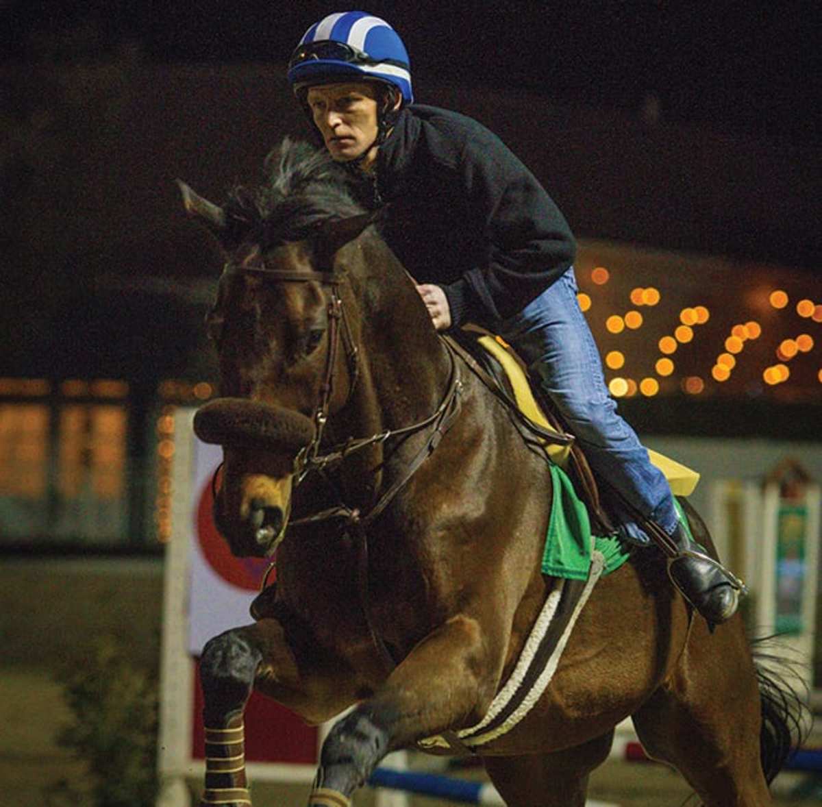 Cosequin Presents Aftercare Spotlight: Building Bridges With The Show ...