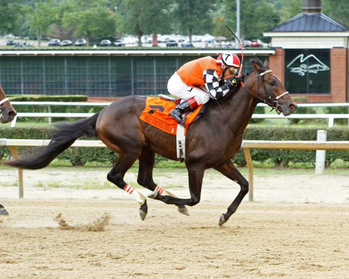 Grade 3 Winner Colonelsdarktemper Enters Stud At Whispering Oaks Farm ...