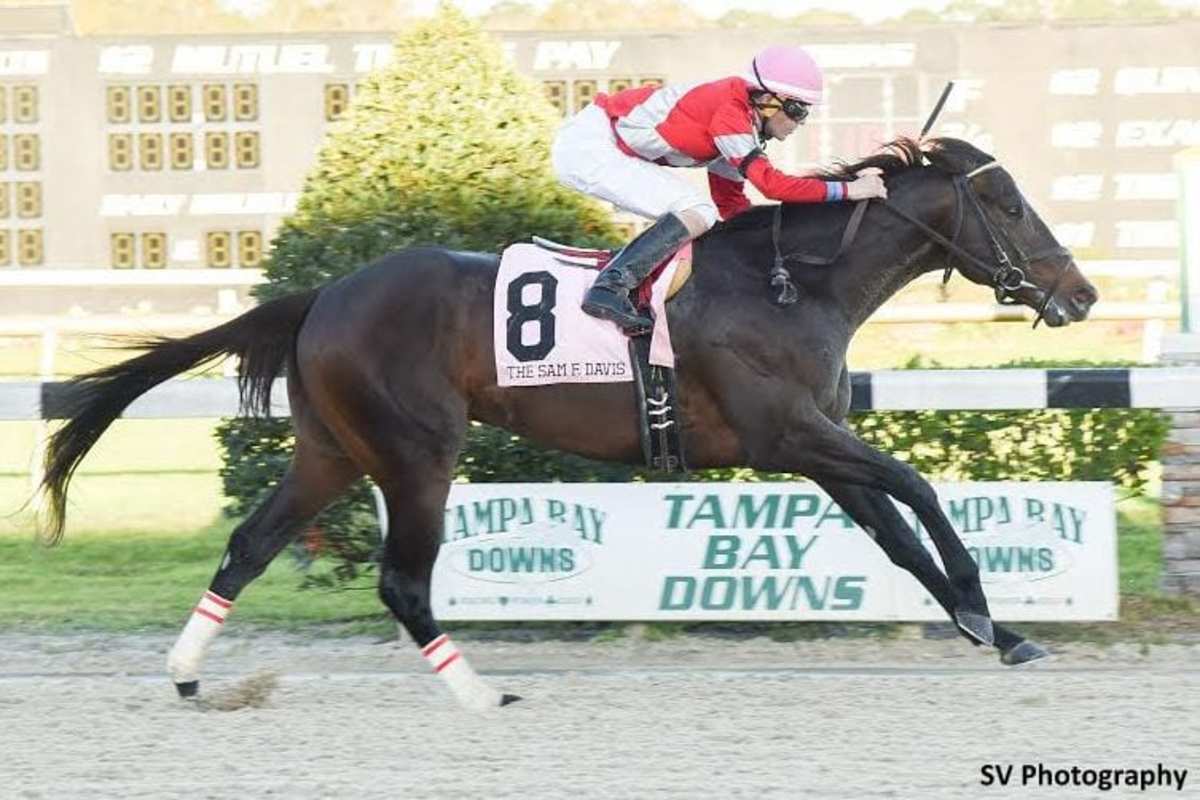 'Very Minor' Injury Will Force McCraken To Miss Tampa Bay Derby ...