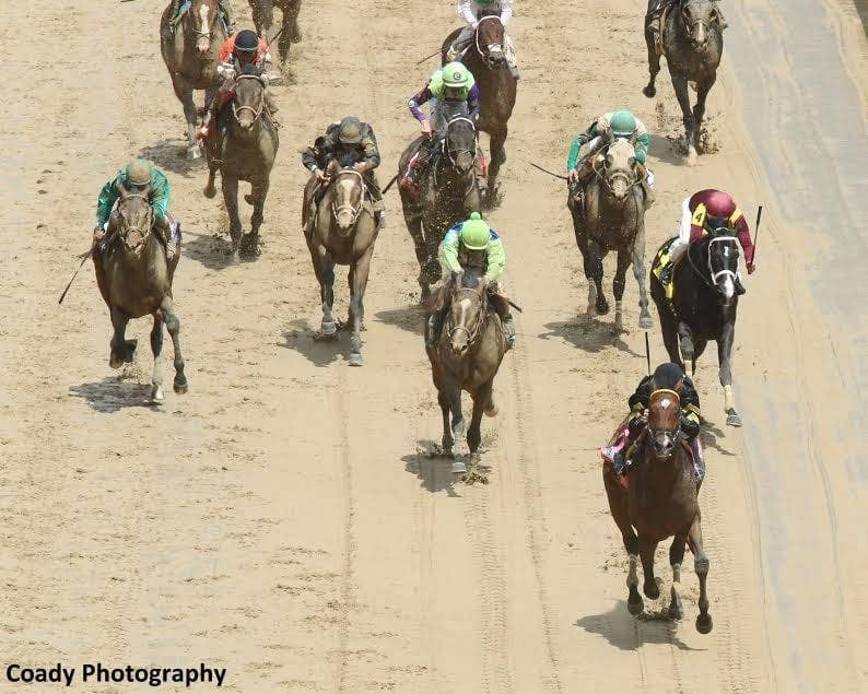 Wild Shot Takes Pat Day Mile By Daylight In Second Career Win - Paulick ...