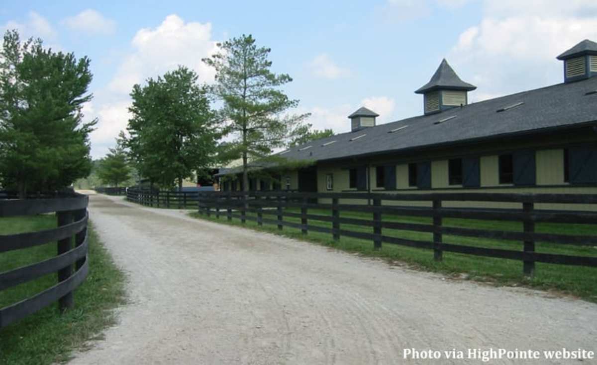 EHV-1 In Kentucky: Five New Positives Announced At Training Center ...