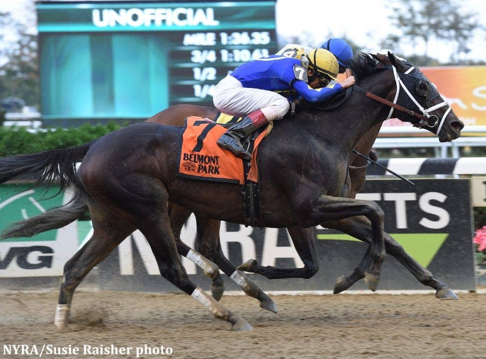 Eskenformoney Bows Out With Last-Jump Win In Turnback The Alarm ...