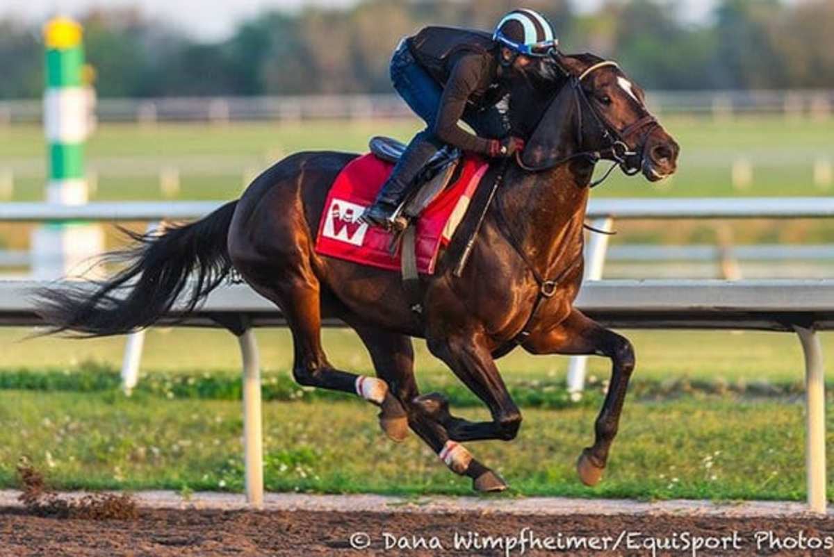 Undefeated McCraken, Champion Classic Empire Return To Work Tab ...