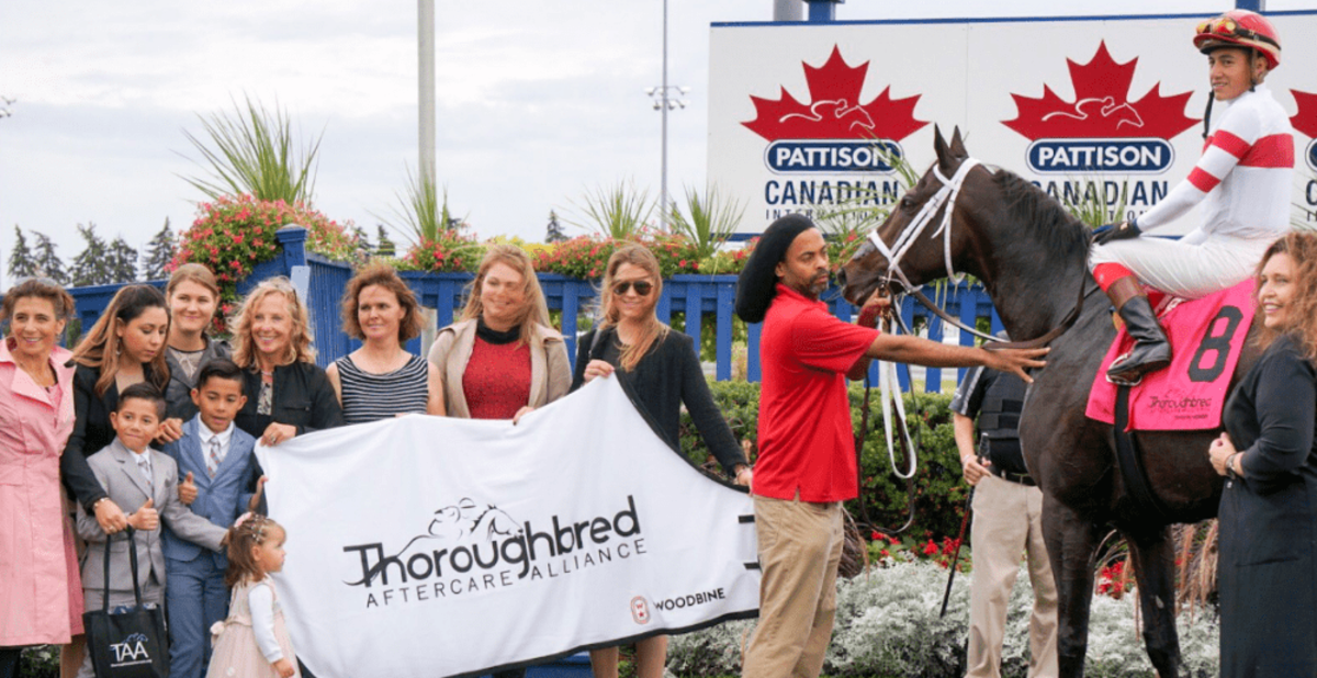 Field Of Courage Shocks Nearctic Field At 40-1 - Paulick Report ...