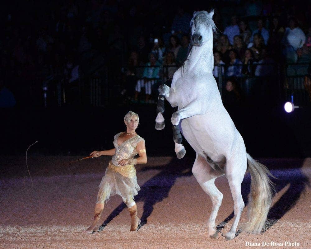 'Equestrian Ballet' Raises Funds For Equestrian Aid Foundation ...