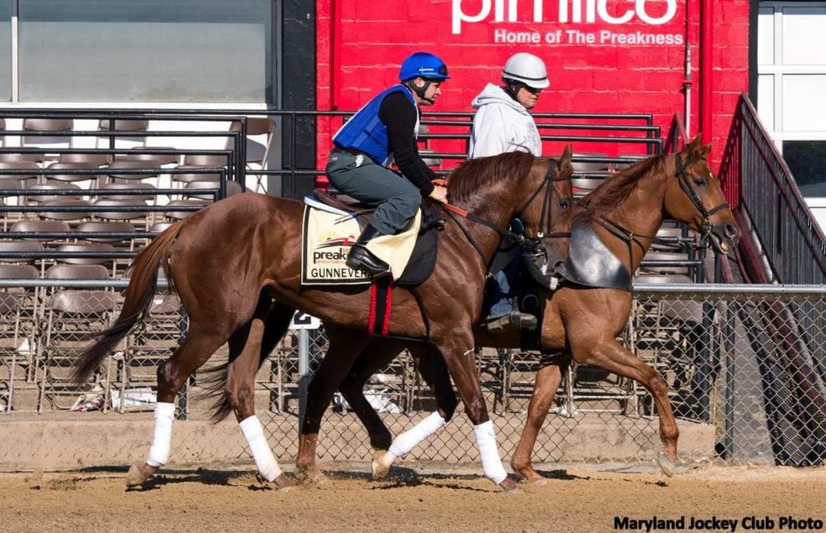 Gunnevera Ready To Resume Galloping At Gulfstream West; Sano Targeting ...
