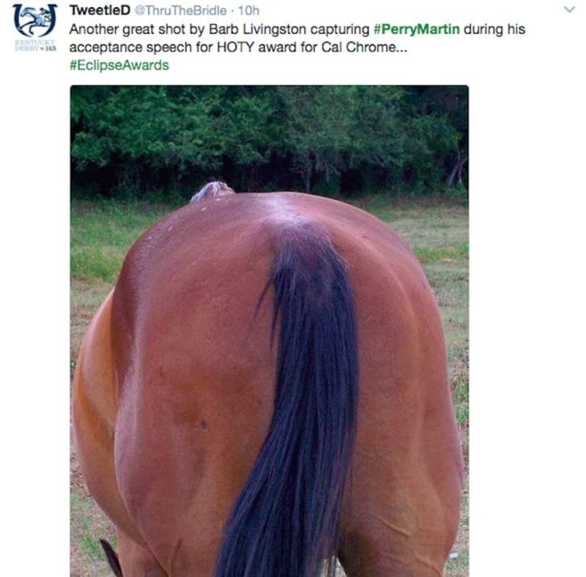 Commentary: Graceless Finish To A Night Of Champions - Paulick Report ...