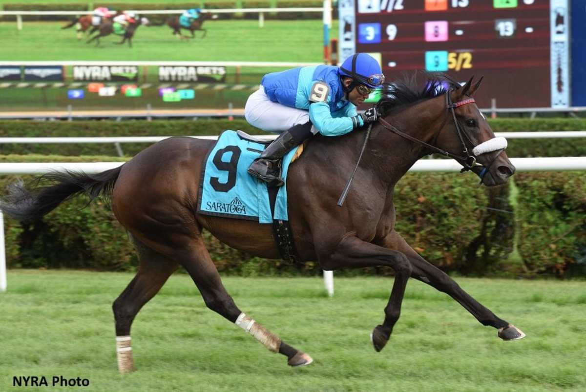 Miss Ella Rallies To Repeat In Caress Stakes - Paulick Report | Latest ...