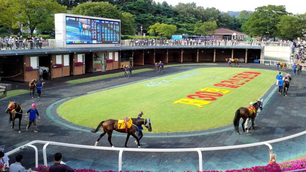 A Winning Bet: South Korean Racing Developing Into A Multi-Billion ...