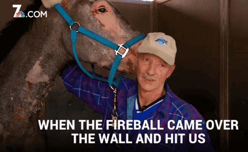 'A Hurricane Of Fire': Trainer Recounts Harrowing Experience Saving ...