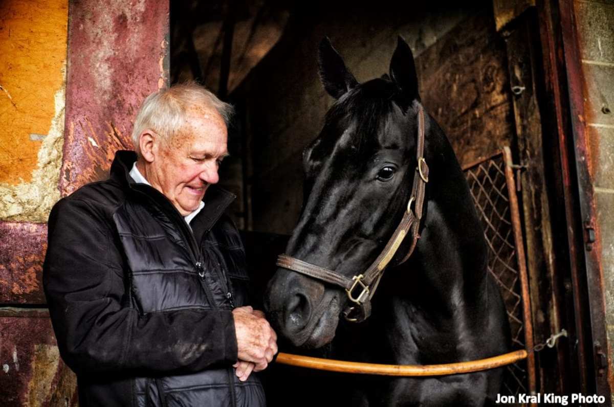 Ben's Cat Inspires Record-Setting Number Of Votes To Win 'Vox Populi ...