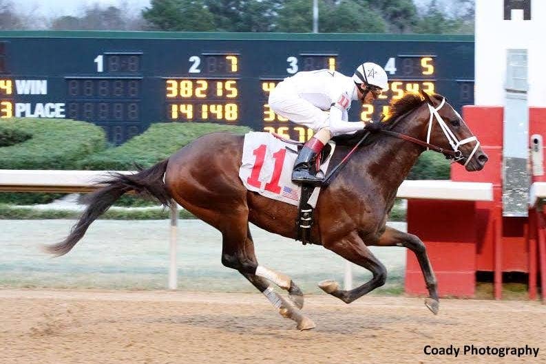 One Liner Keeps Perfect Record Intact With Southwest Victory - Paulick ...