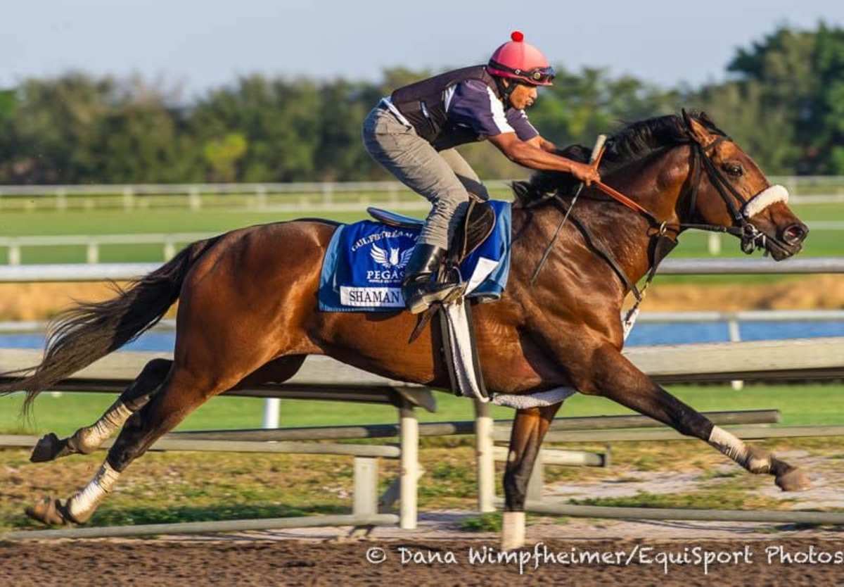 Jerkens: Shaman Ghost Will 'Probably Be The Best' Horse He's Trained ...
