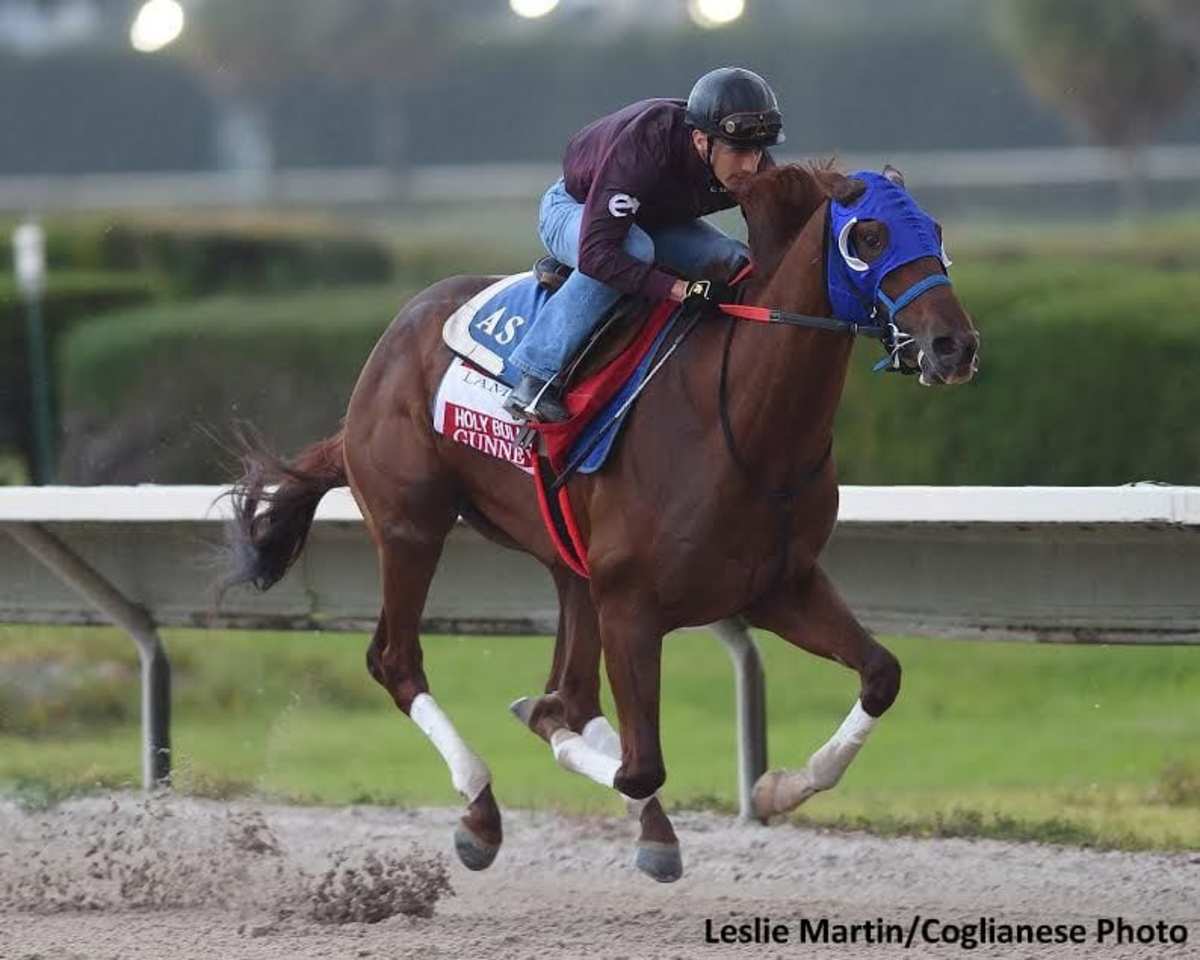 Gunnevera 'Perfect' In Final Work For Florida Derby - Paulick Report ...