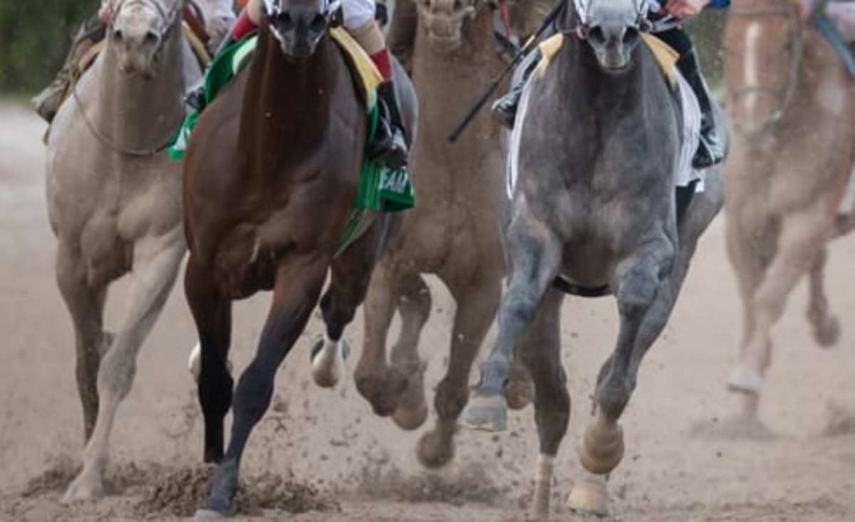 National Thoroughbred League Unveiled; Six Cities To Have 'Teams ...