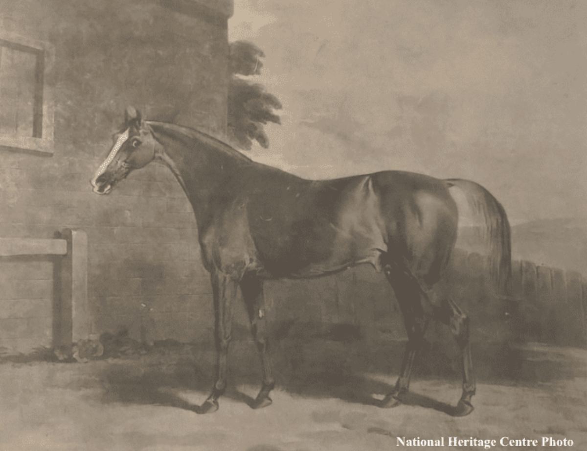 From Newmarket: Digging Up Pot8os - Paulick Report | Latest news and ...