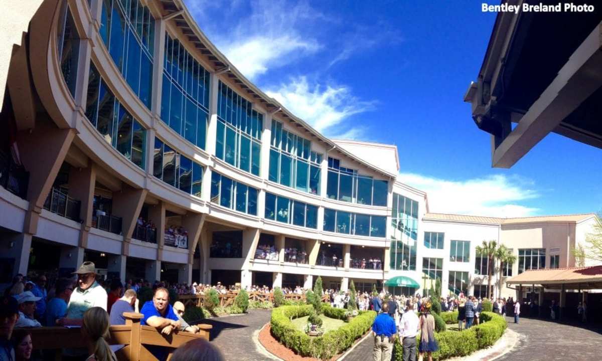 Fair Grounds: Maryland Horses Cleared To Enter After EHV-1 Quarantine ...