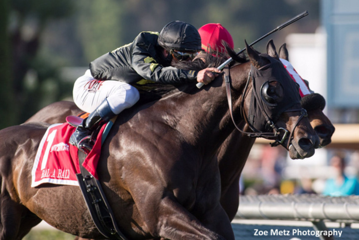 Bloodlines Presented By At The Sale: Bal a Bali Represents Long Line Of ...