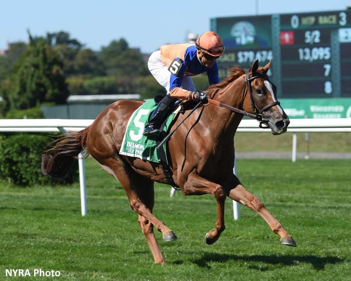 Off Limits Steps Up, Bursts Last-To-First In Noble Damsel - Paulick ...