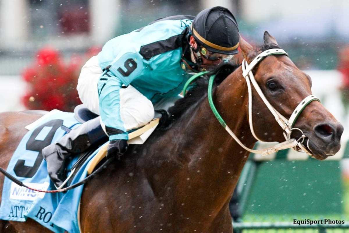 Atta Boy Roy Moves From Native Washington To War Horse Place In ...