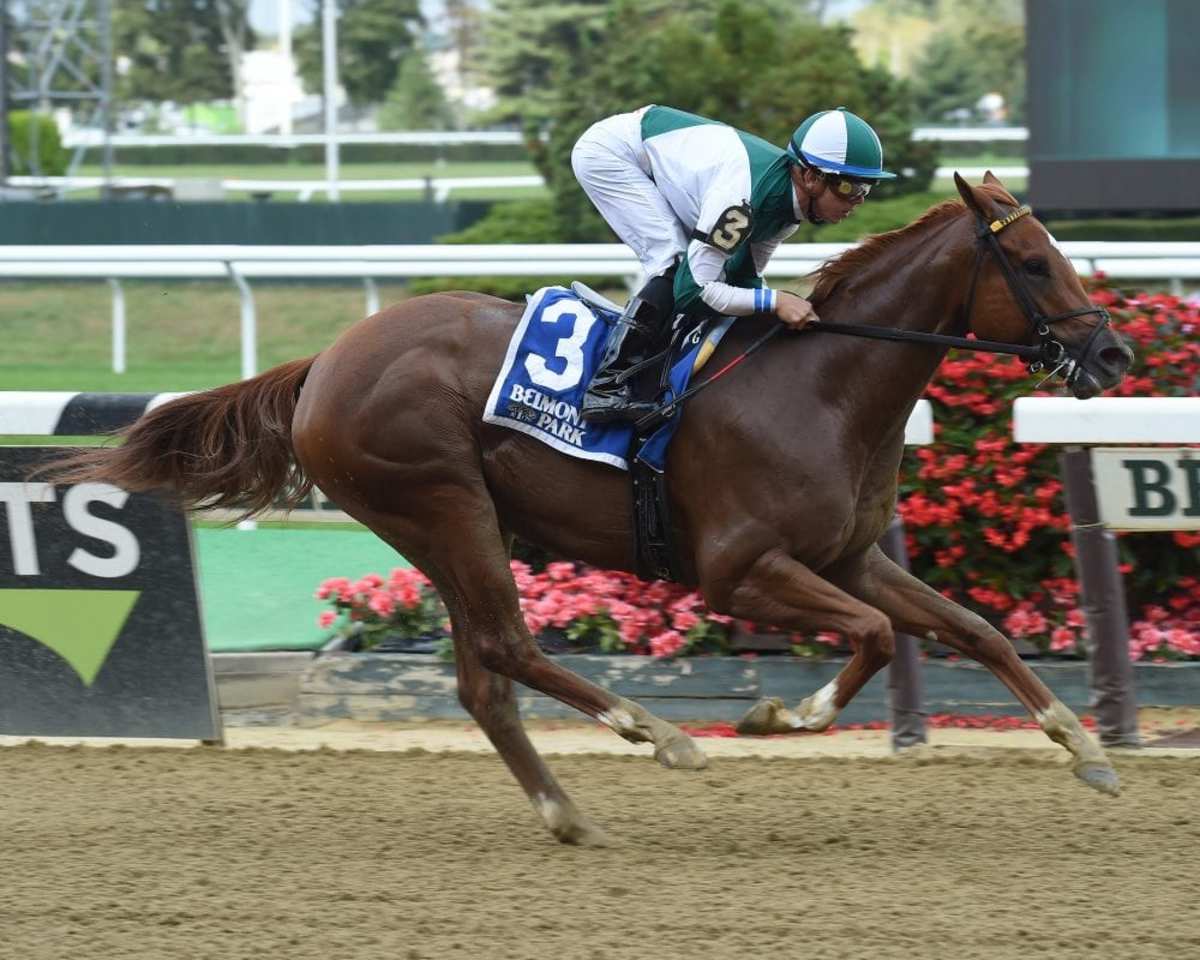 Happy Like A Fool Dominant In Matron Stakes - Paulick Report | Latest ...