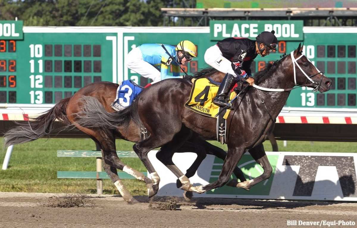 Equibase Analysis: Arklow Could Post Upset In LeComte Stakes - Paulick ...