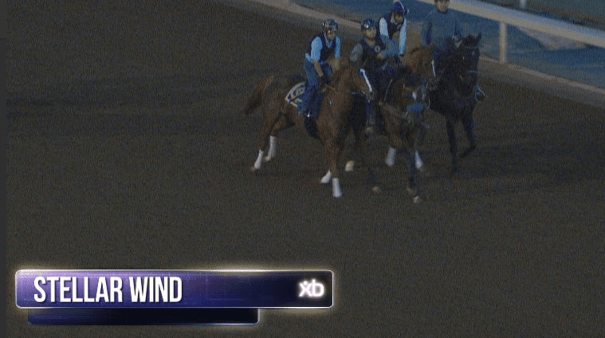 Stellar Wind 'Nice And Smooth' In Final Serious Prep For BC Distaff ...