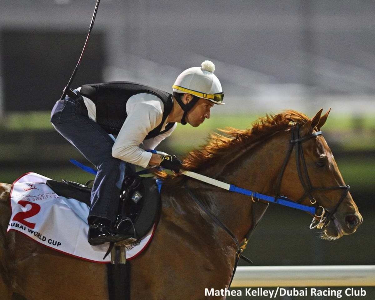 Gun Runner 'Awesome' In Monday Breeze For Stephen Foster - Paulick ...