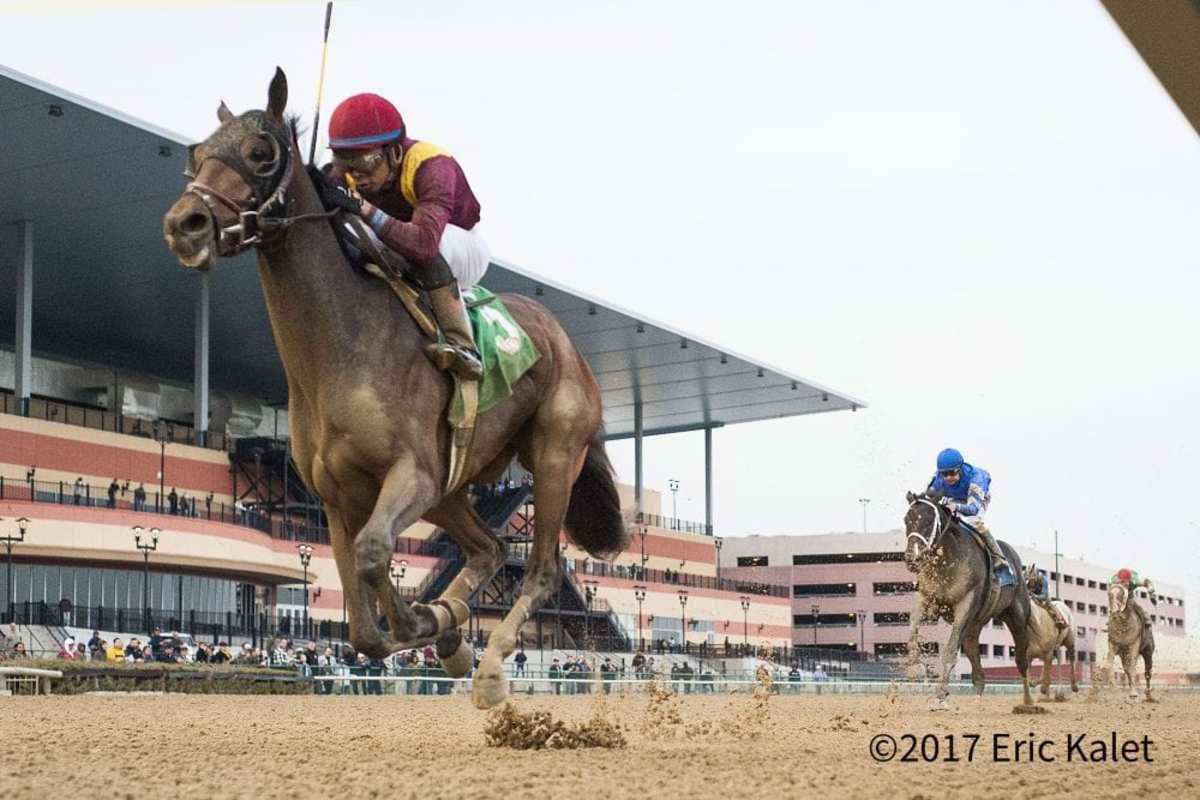 'One Day At A Time' As Remsen Winner Catholic Boy Gets Back To Breezing ...