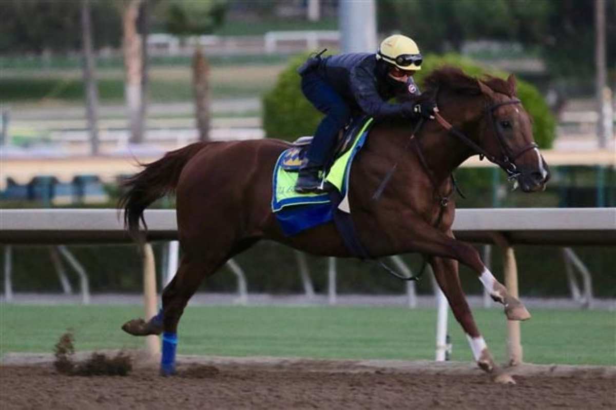 Collected, Dabster Lead Baffert Stable On Opening Day At Santa Anita ...