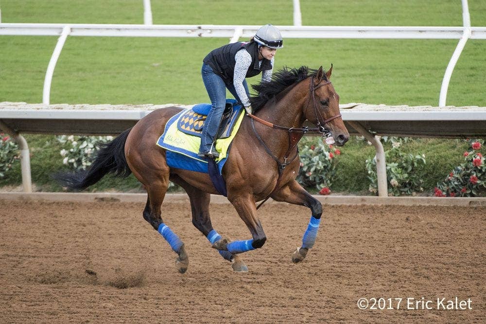 Glass Eager To See West Coast Race In Person For The First Time ...