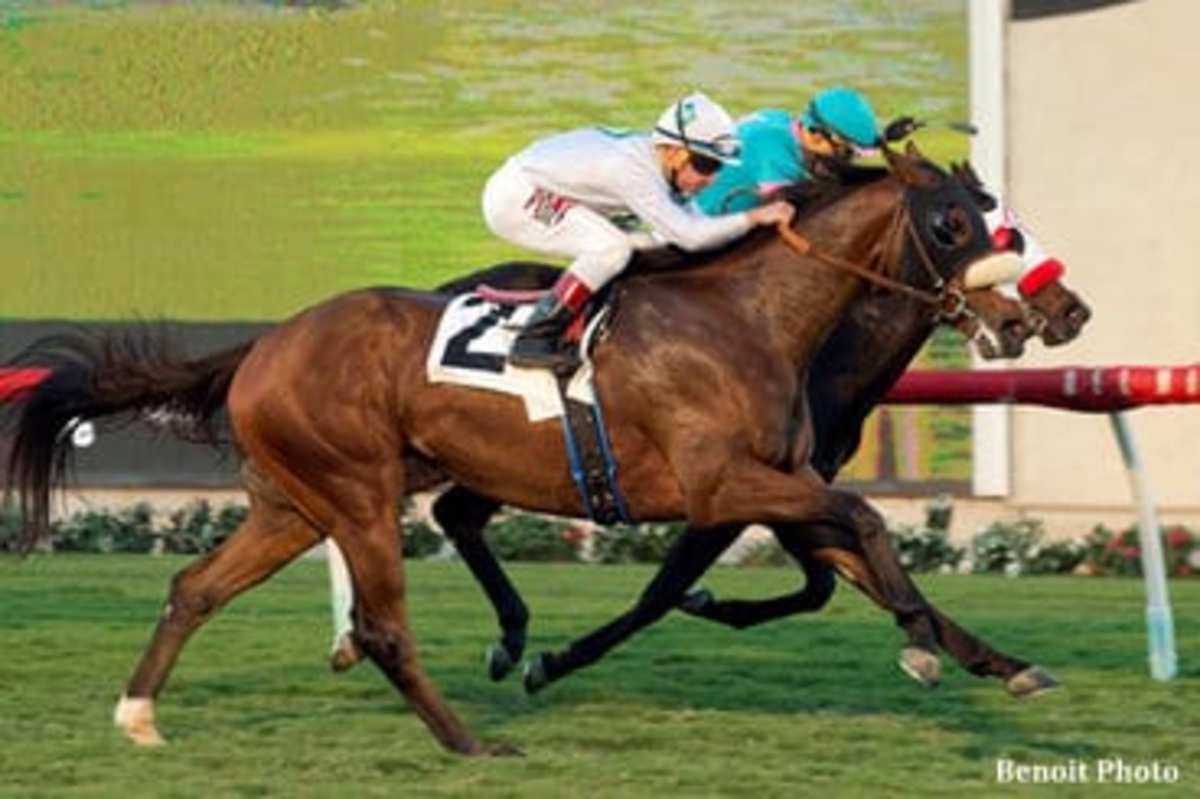 'Time To Try Him On Dirt:' Well-Traveled Colonel Samsen Joins Sham Cast ...