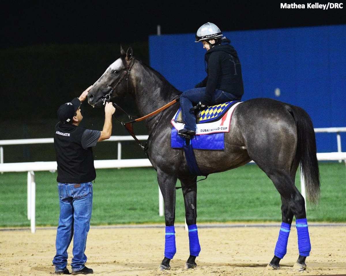 Primed For Another Huge Effort, Arrogate 'Has The World At His Feet ...
