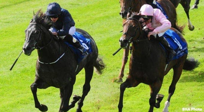 Caravaggio Returns To Form With Emphatic Win In Derrinstown Stud Flying ...