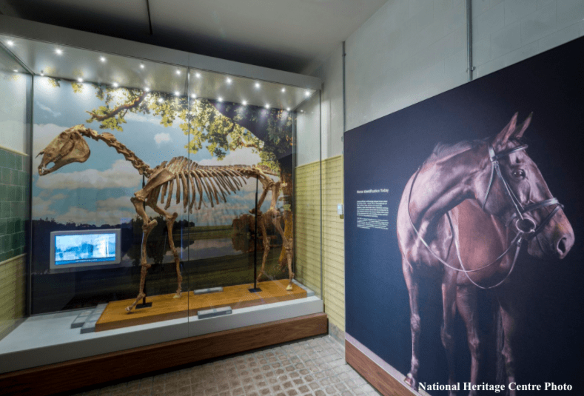 From Newmarket: Digging Up Pot8os - Paulick Report | Latest news and ...