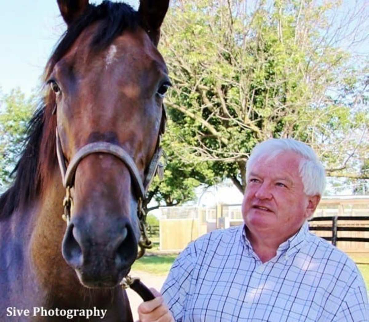 Gerry Dilger Foundation Names Three New 'Kentucky Experience ...