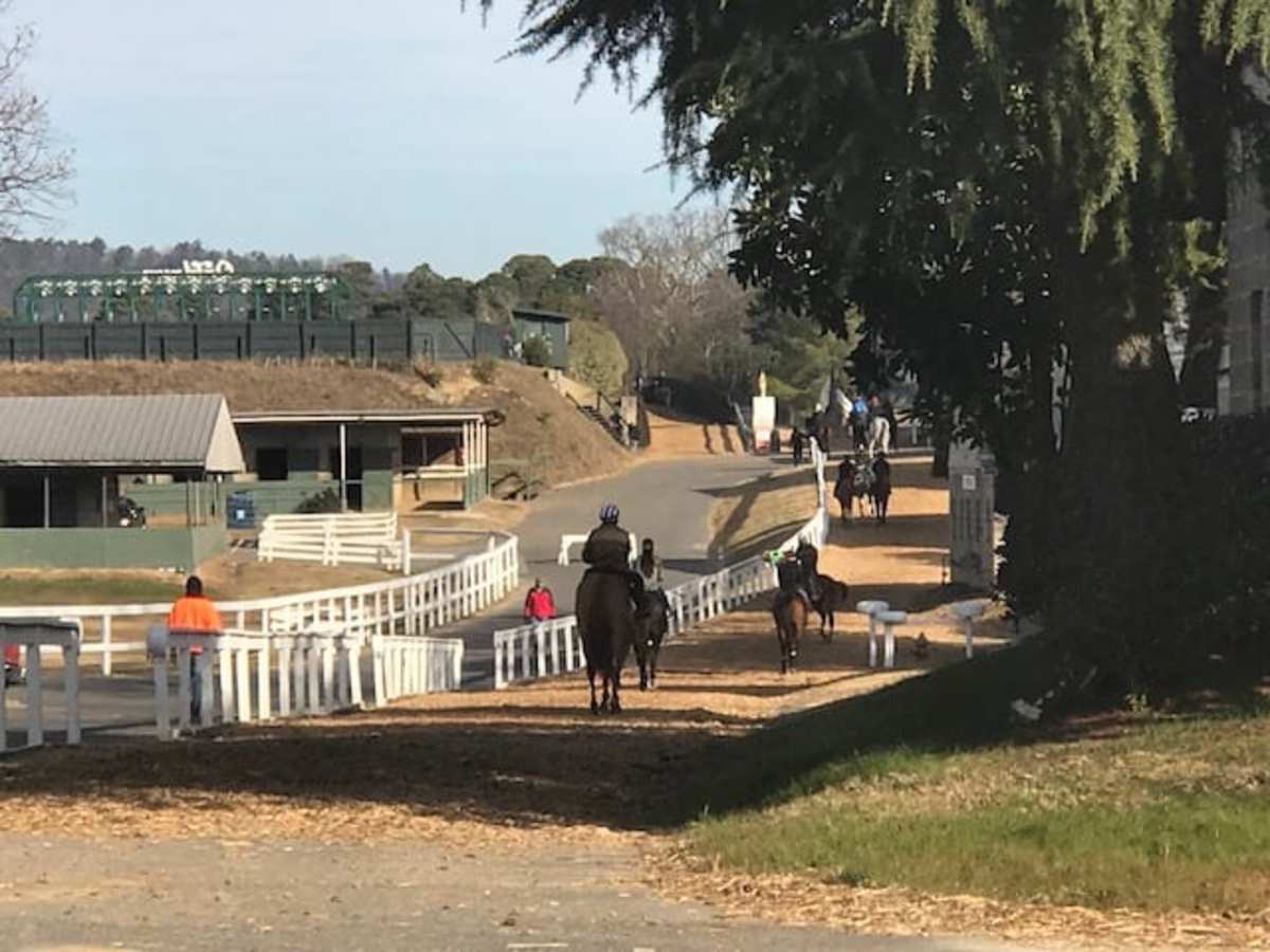 McKnight Arrives For First Season At Oaklawn After 'Magical' Woodbine ...