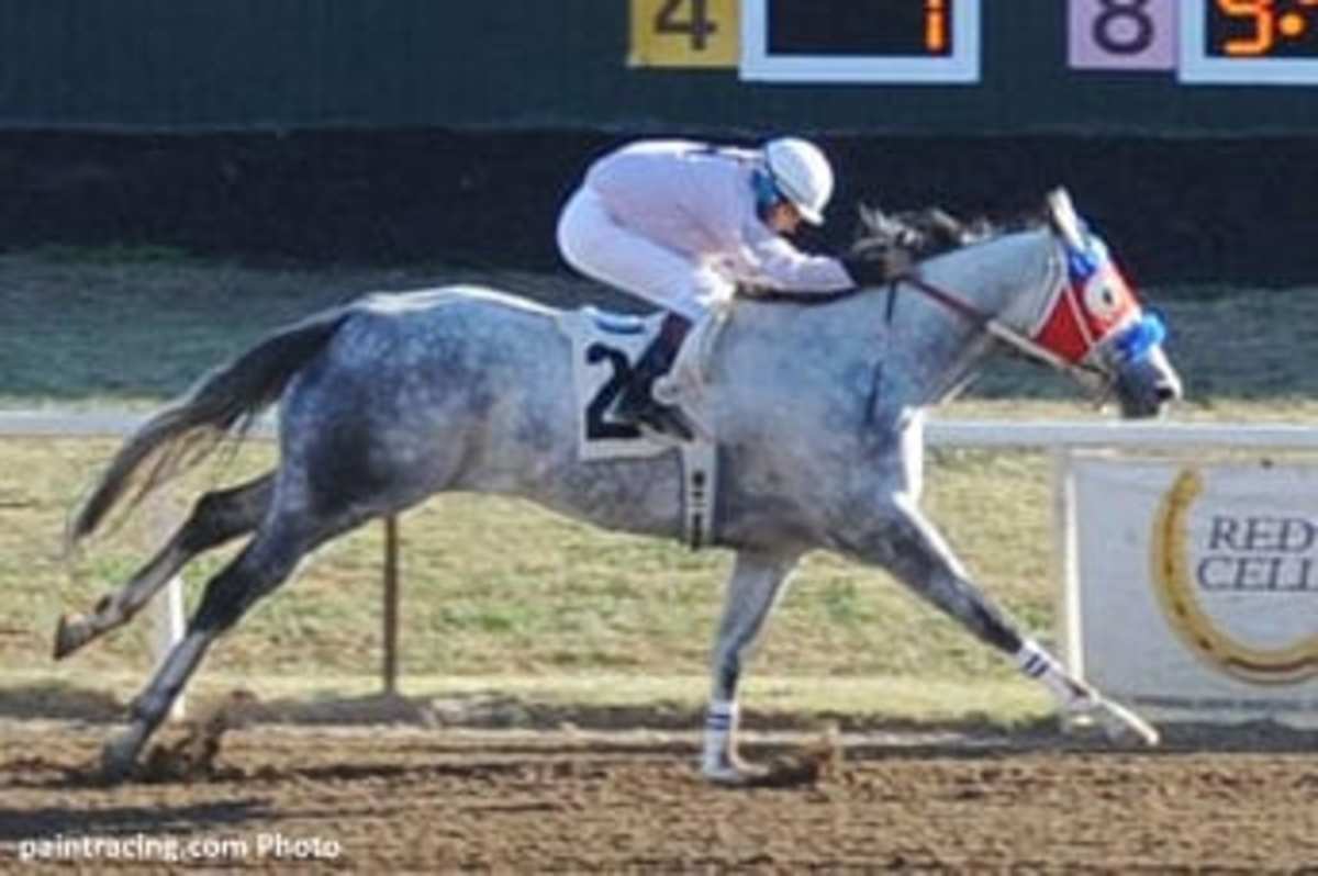 Updated: 'Part Of The Family,' Jockey Mario Chavez Killed In Accident ...