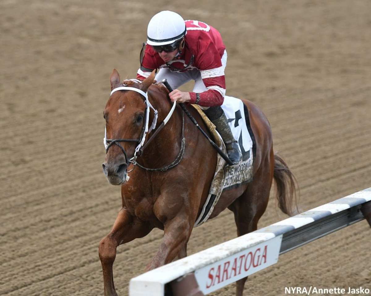 Gun Runner Apunta Hacia La Pegasus World Cup, Planes Para La Cría Aún ...