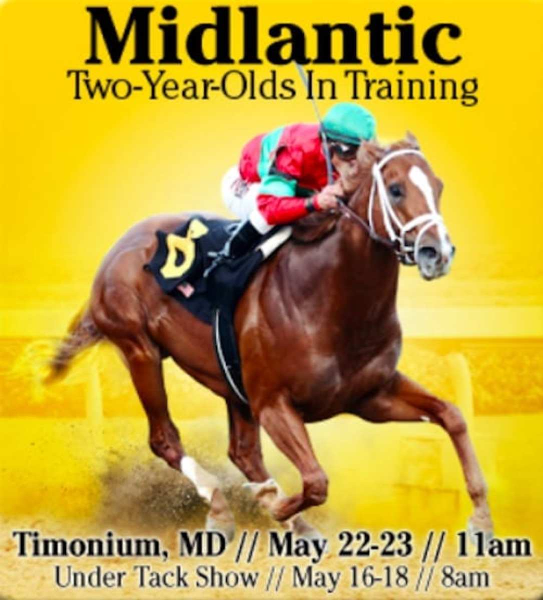 Fasig-Tipton Midlantic's Catalogue Of 575 Juveniles Now Online ...